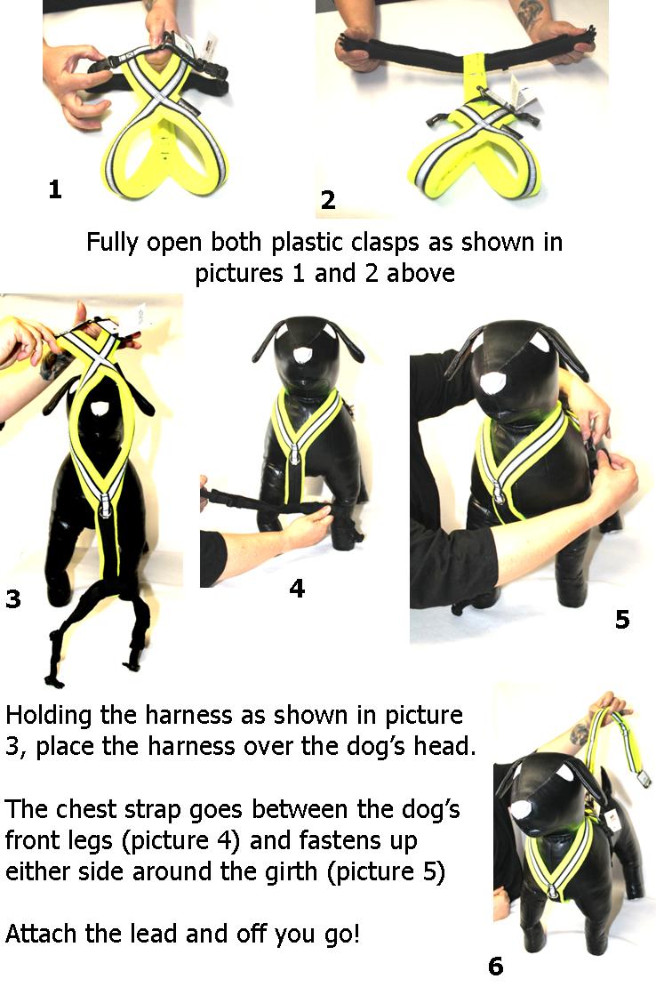 How to put on a harness | Snugglepets
